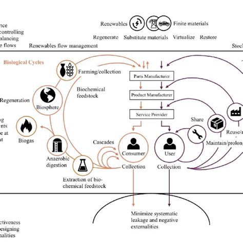 Circular Economy System Diagram Adapted From Ellen Macarthur