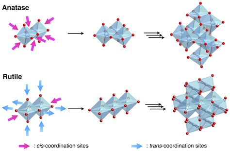 Schematic Image For The Kinetic And Thermodynamic Control