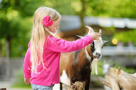 The 7 Best Petting Zoos And Animal Farms In Indiana