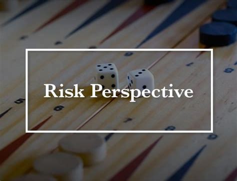 Risk Perspective Michael Brotsky