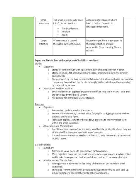 Year 11 Nutrition Study Notes Food Technology Year 11 Hsc Thinkswap