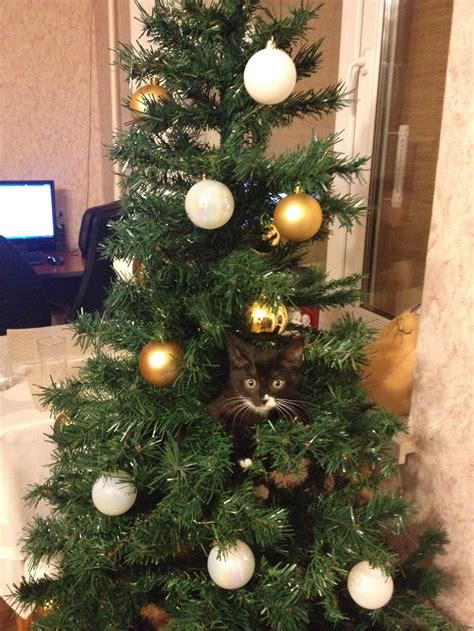 Еще не уронил но скоро... | Пикабу