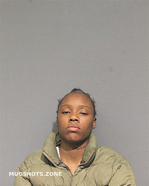 Francesca L Harrison 11 01 2023 Chicago Mugshots Zone