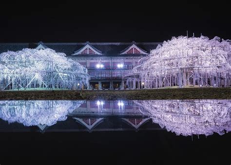 奈良の桜奈良で最後に咲くしだれ桜が有名な茅葺きの寺西念寺天理市 奈良の地域密着型総合情報サイト Narakko 奈良っこ