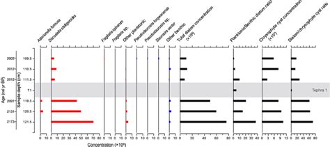 Stratigraphy Of Diatom And Chrysophyte Cyst Concentrations In Samples Download Scientific