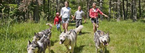 Spécialités Culinaires Dangers Les 10 Délices Danjou à Déguster