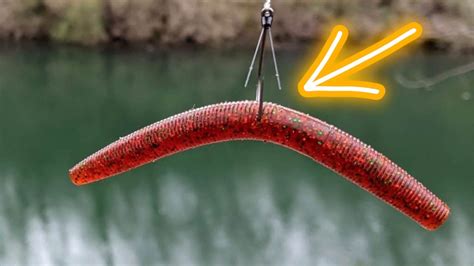 Wacky Rig Bass Fishing Insanely Simple Rig Bassfishing Fishing