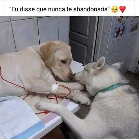 Aqui Te Farei Mulher Memes