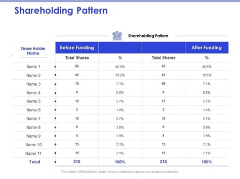 Shareholding Pattern Total Shares Ppt Powerpoint Presentation Ideas