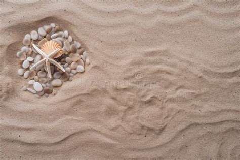 A Shell And Some Rocks In The Sand Ai Generative Image Stock Illustration Illustration Of
