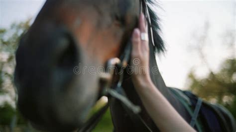 Close Up Of A Woman Eye Stye Red Eye Lid With Onset Of Stye Infection