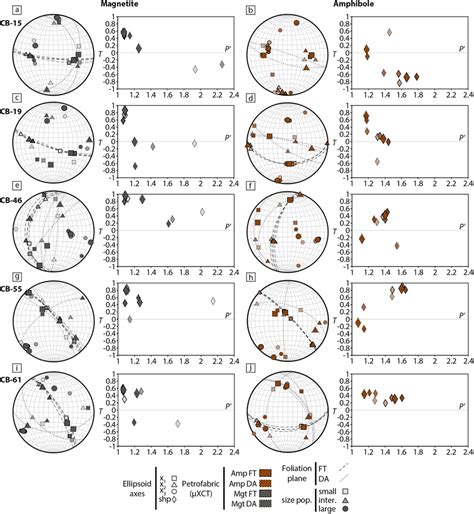 Comparison between fabric tensors Vx and distribution anisotropy λx