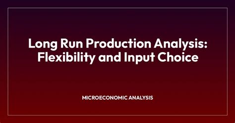 Long Run Production Analysis Flexibility And Input Choice • Economicstown