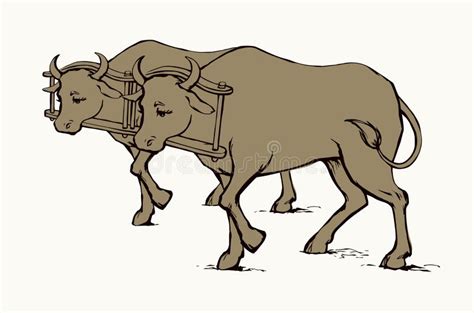 Vector Drawing Old Wooden Yoke On The Cow Stock Illustration