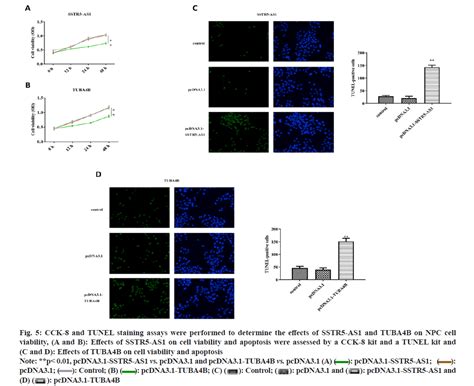 Novel Prognostic Indicators Of Long Noncoding Rna Somatostatin Receptor