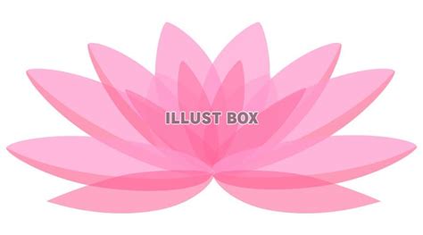 無料イラスト 喪中ハガキ用蓮の花デザインイラスト1・jpeg画像
