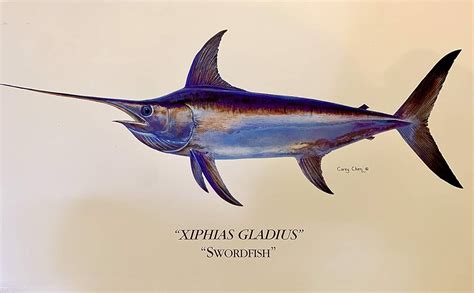 Xiphias
