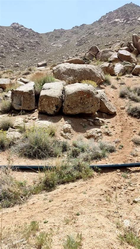 ‎ارش نجفی‎ ‎شماعزیزی که میگی اگه راست میگید یه دونه ازاین کارهارو بازکنید ببینیم تلگرام سرچ