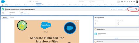 Generate Public Url For Salesforce Files Techdicer