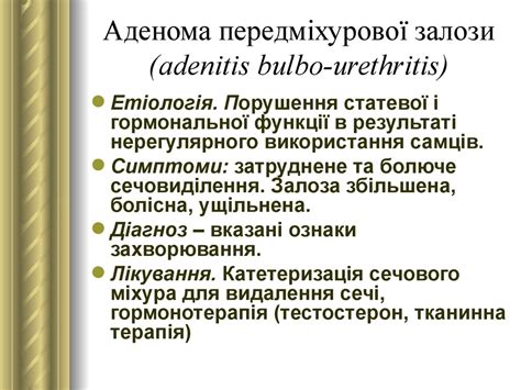 Андрологія Ветеринарна андрологія презентация онлайн