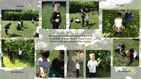 Ahlberg Year R Waulud Primary School And Nursery Wauluds Bank Drive