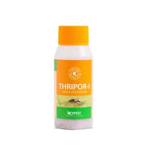 Koppert Thripor I 1000x Urban Grow Garden Supply
