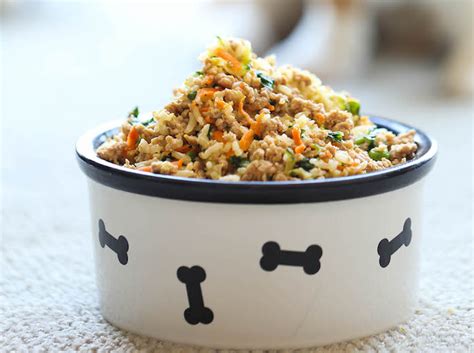 Top 5 Healthy Homemade Dog Food Recipes Best Homemade Dog Foods Dog