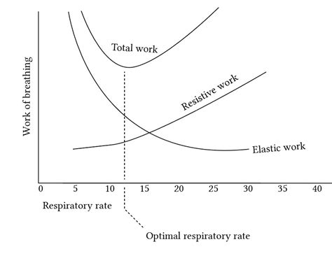 Work Of Breathing And Its Components Deranged Physiology