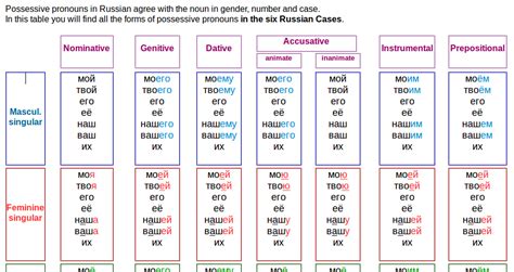Russian Grammar Possessive Pronouns Язык