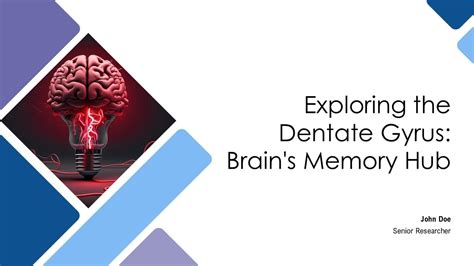 Exploring The Dentate Gyrus Brains Memory Hub Ppt Presentation St Ai Ppt Example