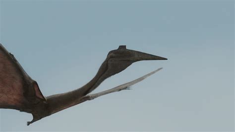 A Giant Pterosaur Quetzalcoatlus Prehistoric Planet Quote