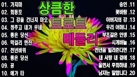 신나는 신나는 트로트 Kpop Trot Playlist Youtube