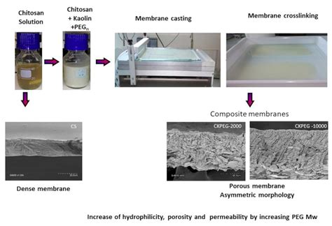 Membranes Free Full Text Green Fabrication Of Sustainable Porous