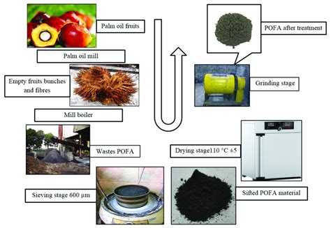 Agro Industrial Waste From Palm Oil Download Scientific Diagram
