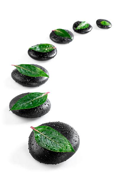 70 Steping Fotografías De Stock Fotos E Imágenes Libres De Derechos Istock