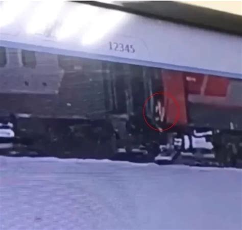 寵物貓遭扔下火車在 30°c雪地凍死 鐵路公司不堪群眾壓力認錯 国际 2024 01 22 光明日报