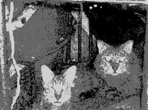 Scp 511 Scp Foundation Scp 511 Scp Foundation