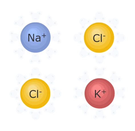 Ions Cations And Anions Getbodysmart