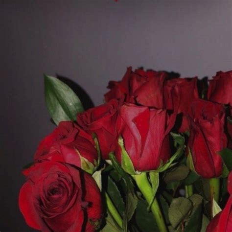 Tindywindy Snapchat Stories Spotlight And Lenses