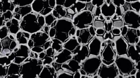 What Is The Bubble Nucleation Theory In Polyurethane Flexible Foam