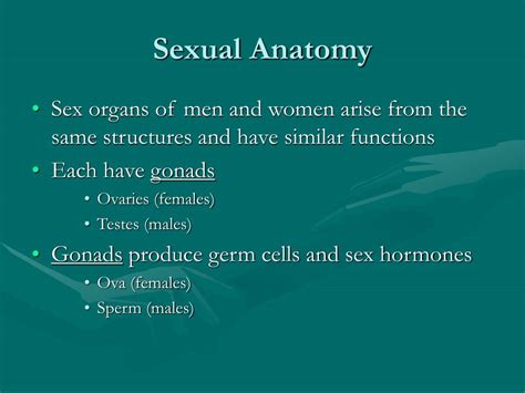 Ppt Chapter Five Powerpoint Presentation Free Download Id2944951