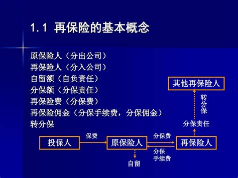 第九章 再保险 Ppt Download