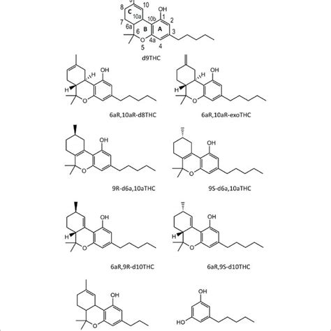 Comparison Of Gc Ms Peak Area Percentages Pap And Hplc Dad