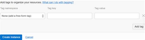 Create An Oracle Fusion Data Intelligence Instance Without Oracle