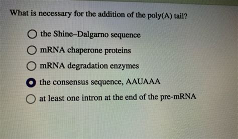 solved what is necessary for the addition of the poly a