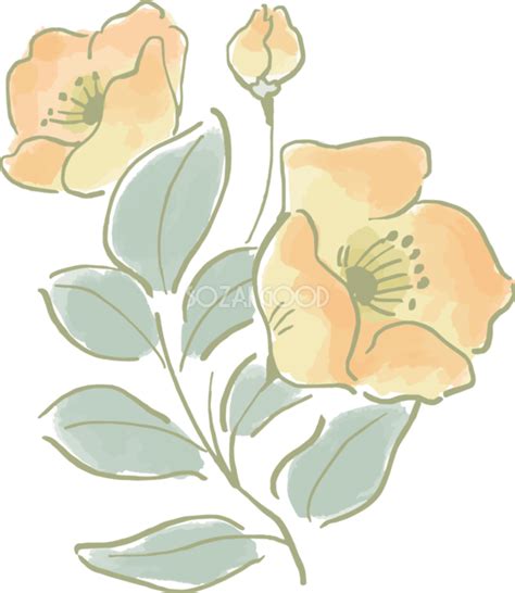 かわいいレトロな花おしゃれボタニカル植物イラスト無料 フリー87783 素材good