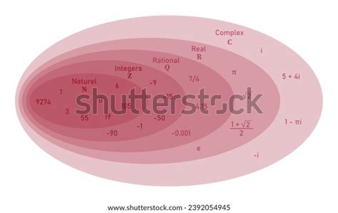 Set Complex Numbers Diagram Mathematics Natural Stock Vector Royalty