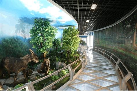 第一批汉中市科普教育基地陕西理工大学秦巴生物博物馆 汉中市科学技术协会