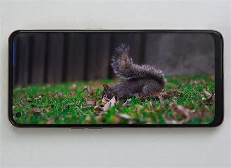 سعر و مواصفات Oppo Reno 8t مميزات و عيوب اوبو رينو 8t موبيزل