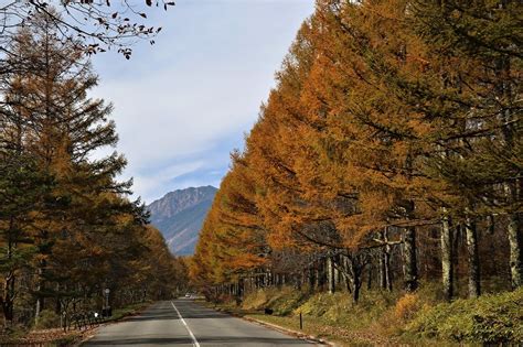 野辺山高原・八ヶ岳高原 ようこそ軽井沢へ！